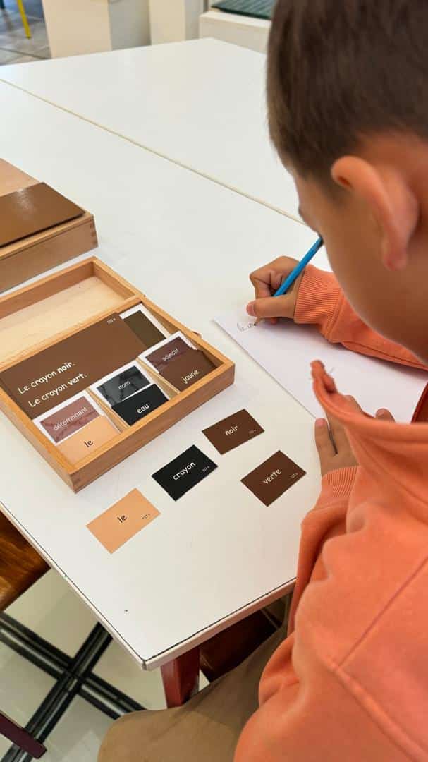 Formation – 6-12 – Association Maria Montessori Côte d'Ivoire